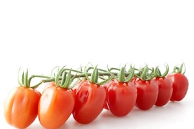 Highland – Our Produce